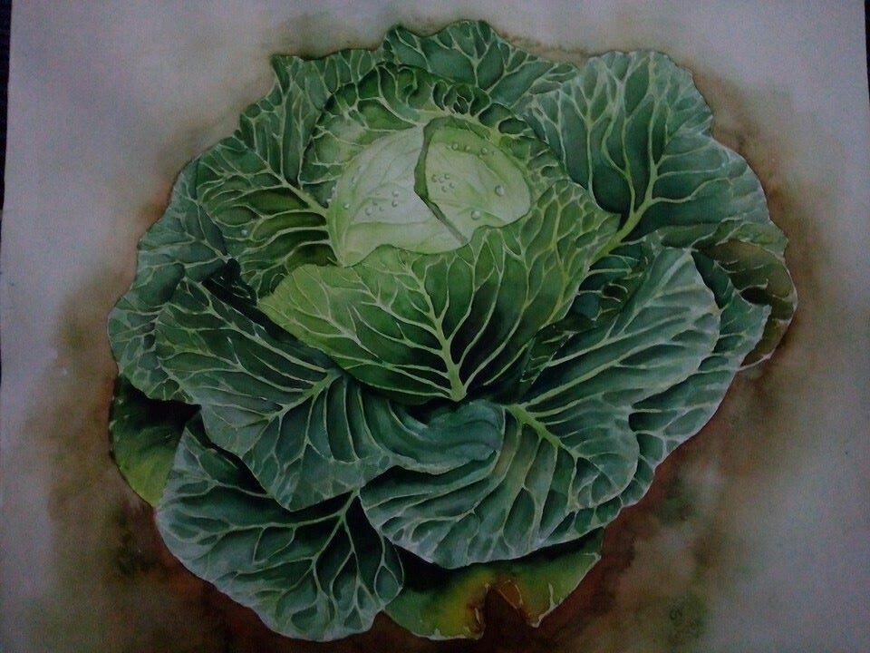 ArtStation - Cabbage