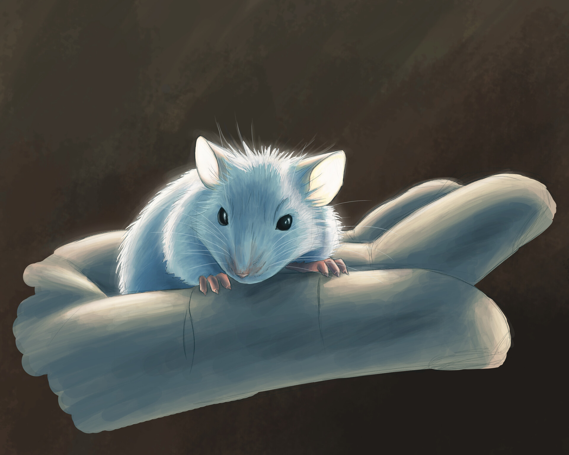 ArtStation - Mouse Study