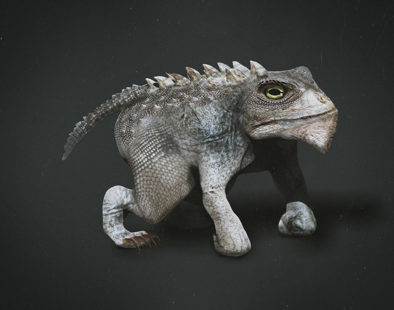 ArtStation - Creature Design _ Toad