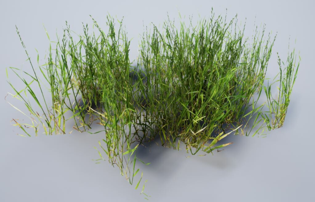 Chad Greene - [UE4] 'Forest creek'