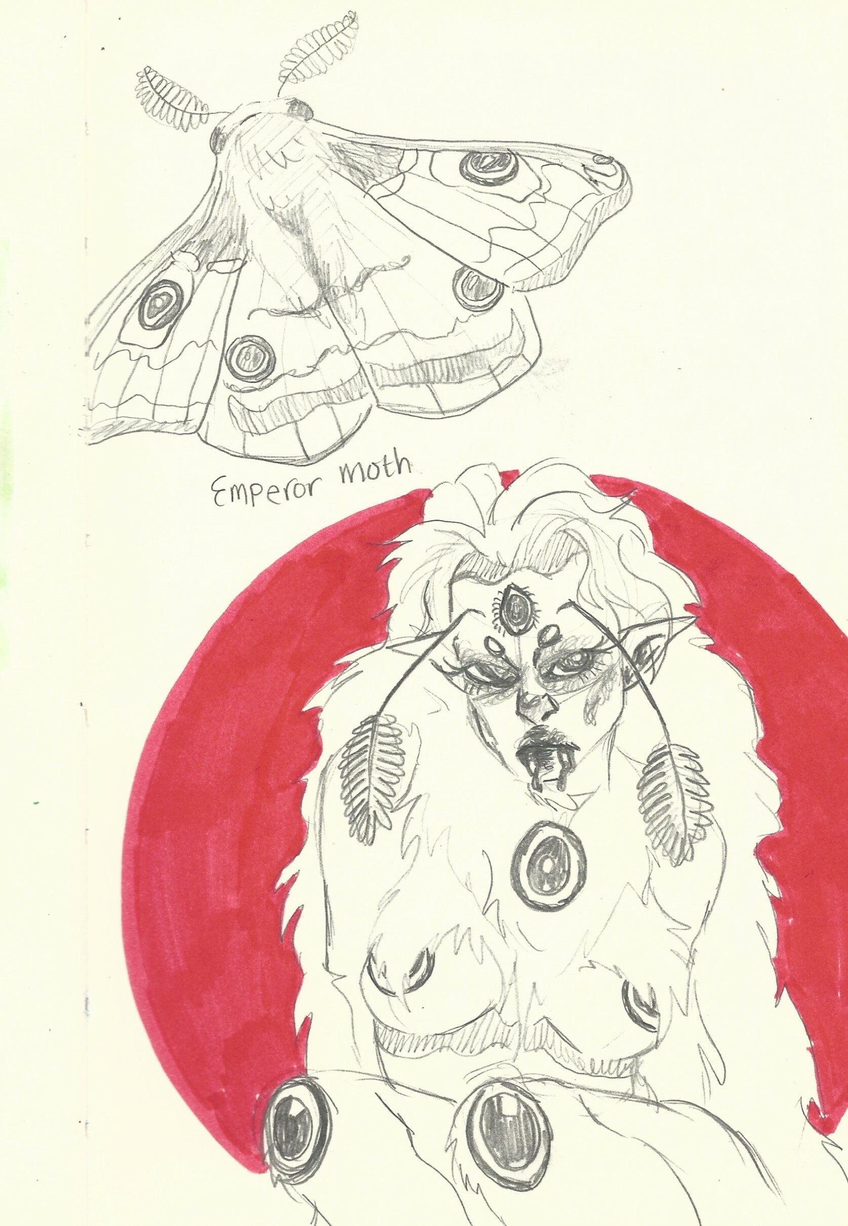 ArtStation - Emperor Moth Lady