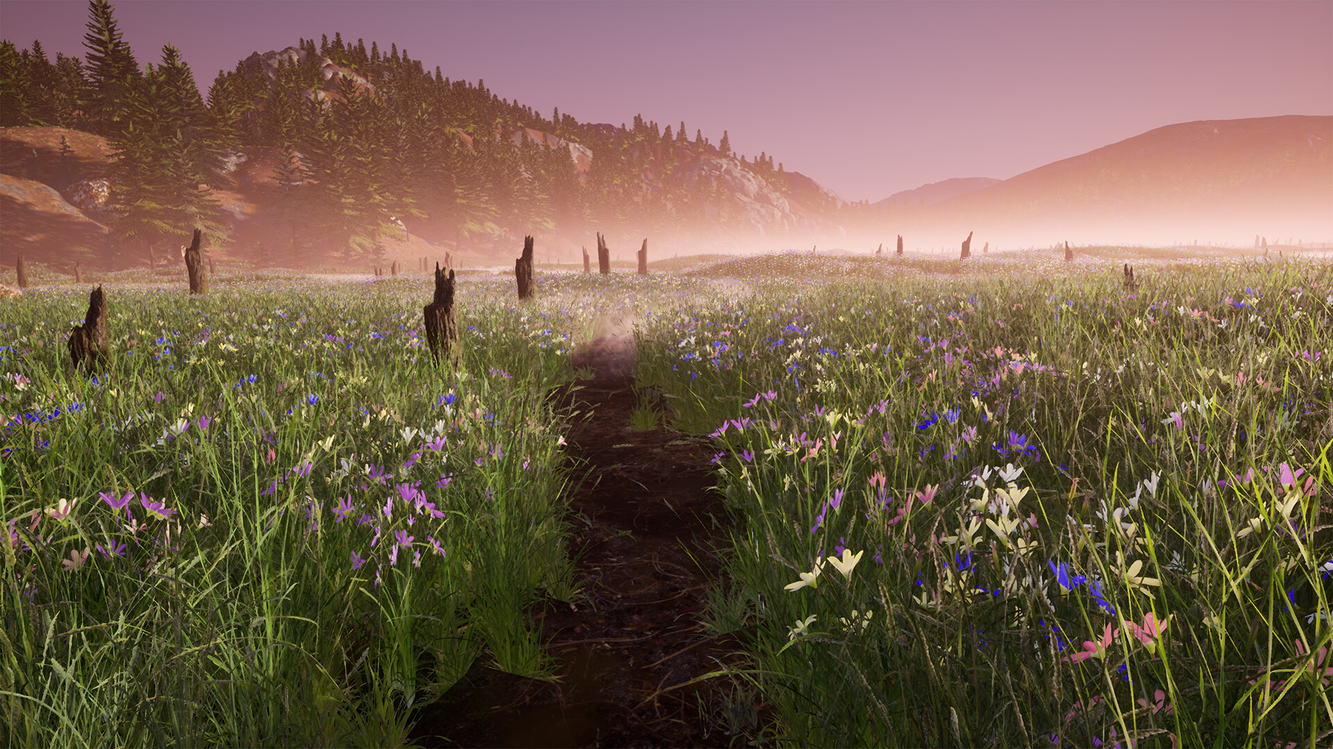 Nicholas D'Alfonso - Procedural Terrain & Scattering