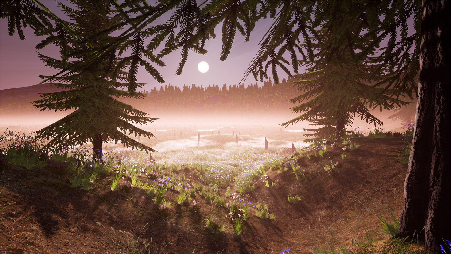 Nicholas D'Alfonso - Procedural Terrain & Scattering