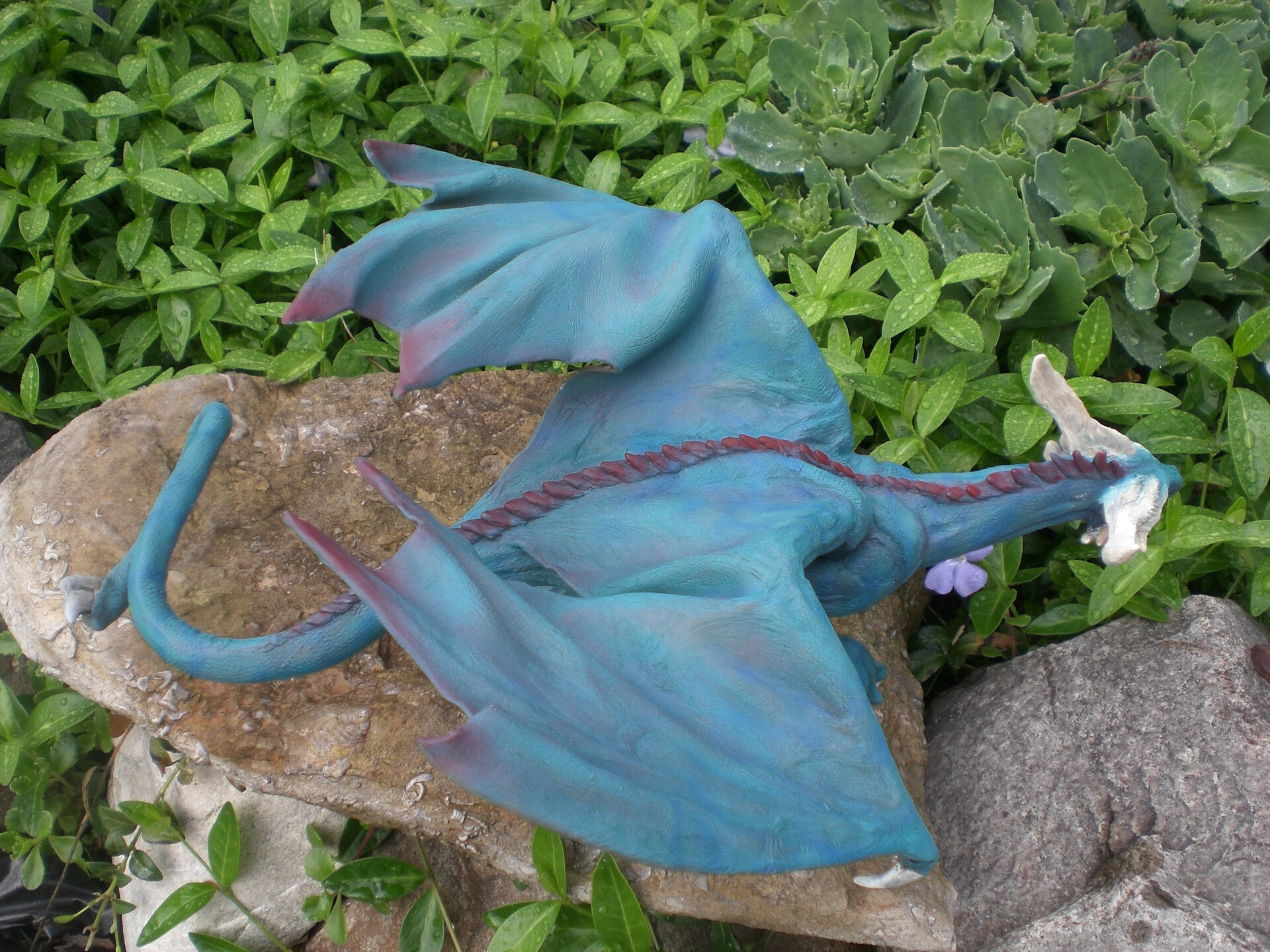 Rachel Canepa - Kender the Pseudodragon