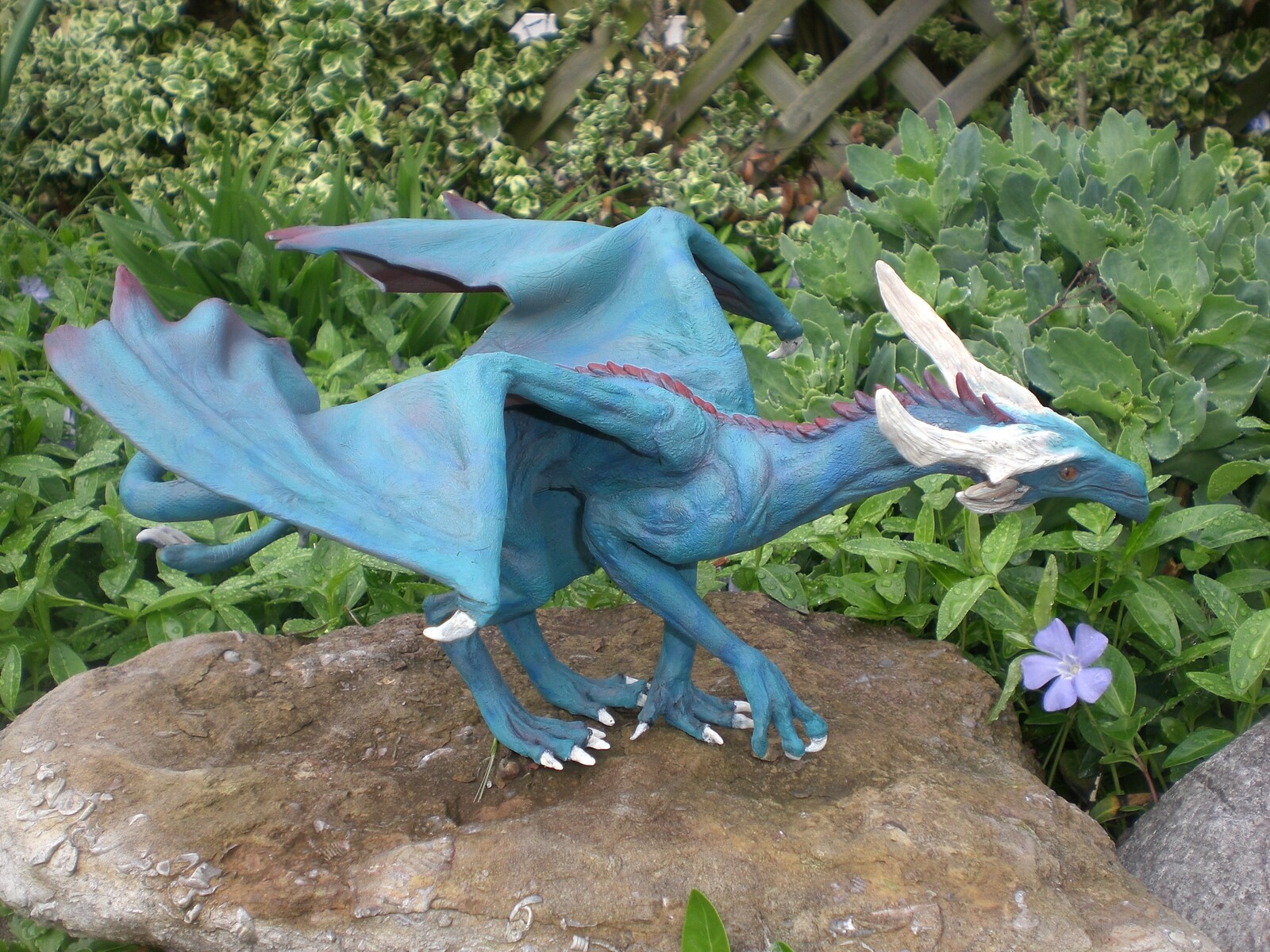 Rachel Canepa - Kender the Pseudodragon