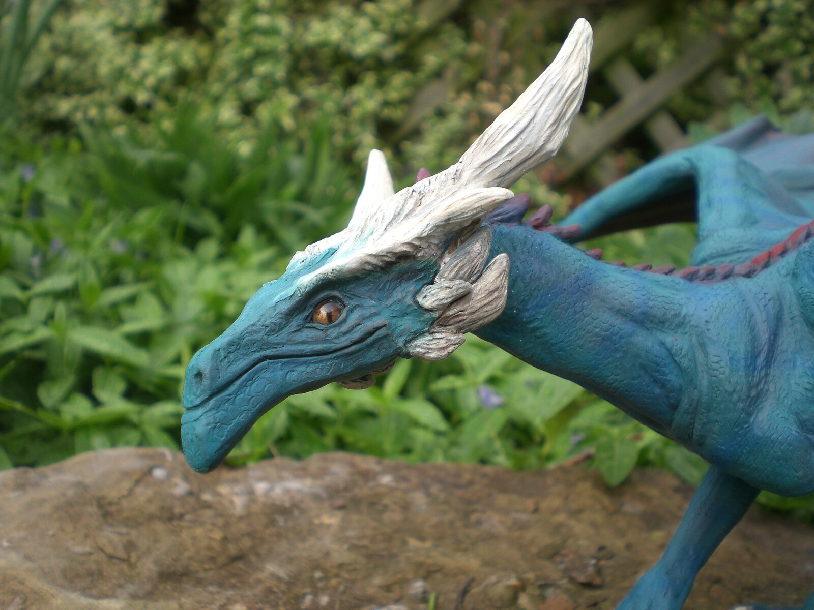 Rachel Canepa - Kender the Pseudodragon