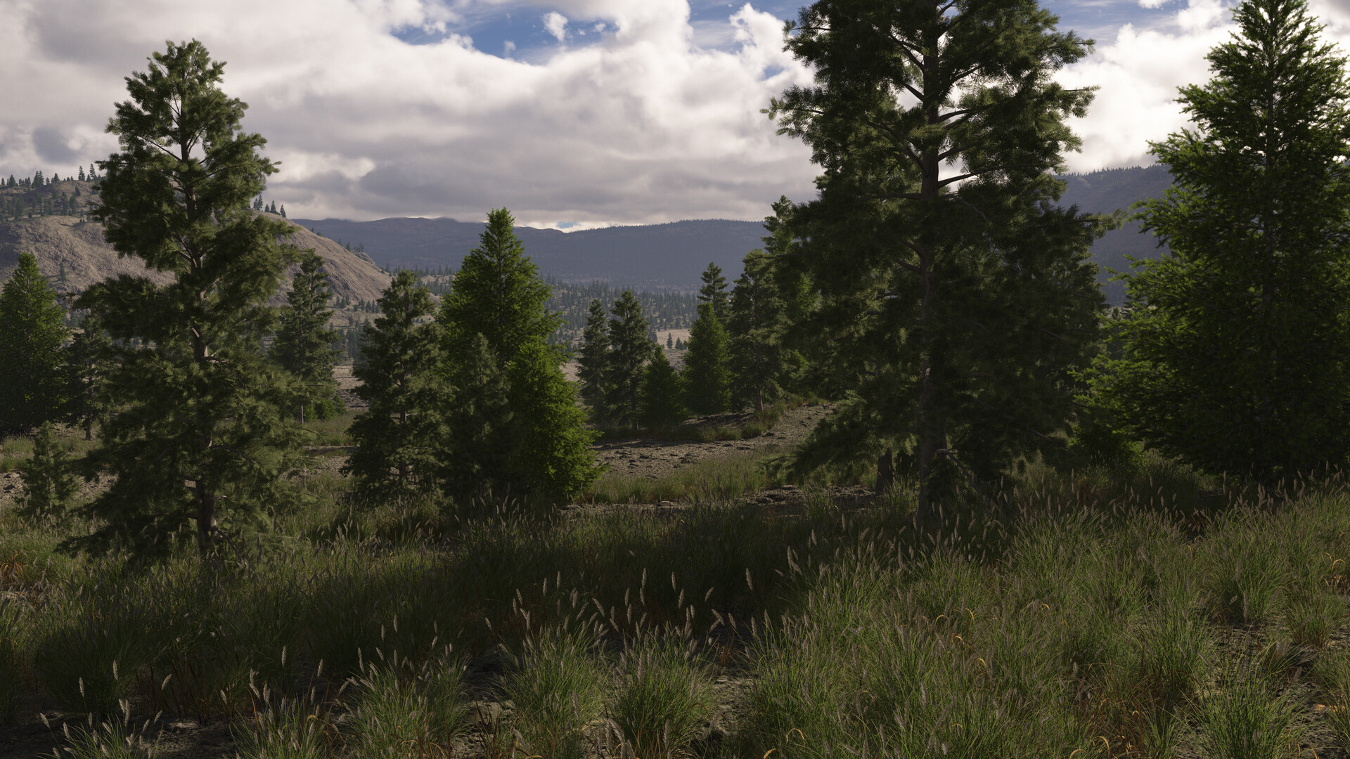 ArtStation - Sparse forest, arid hills