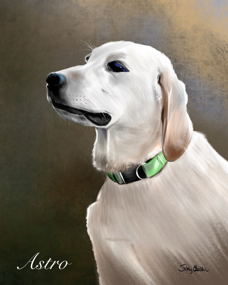 ArtStation - Stacy Bearden