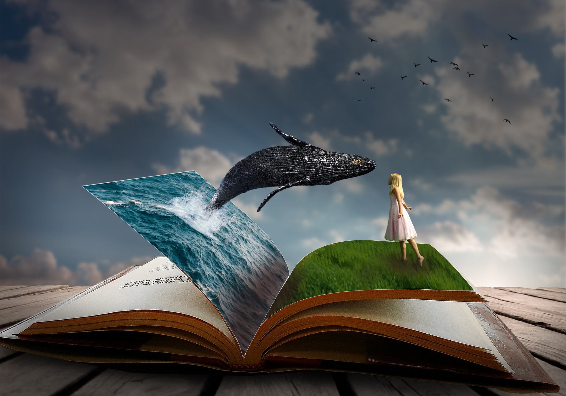 ArtStation - The Imaginary Book