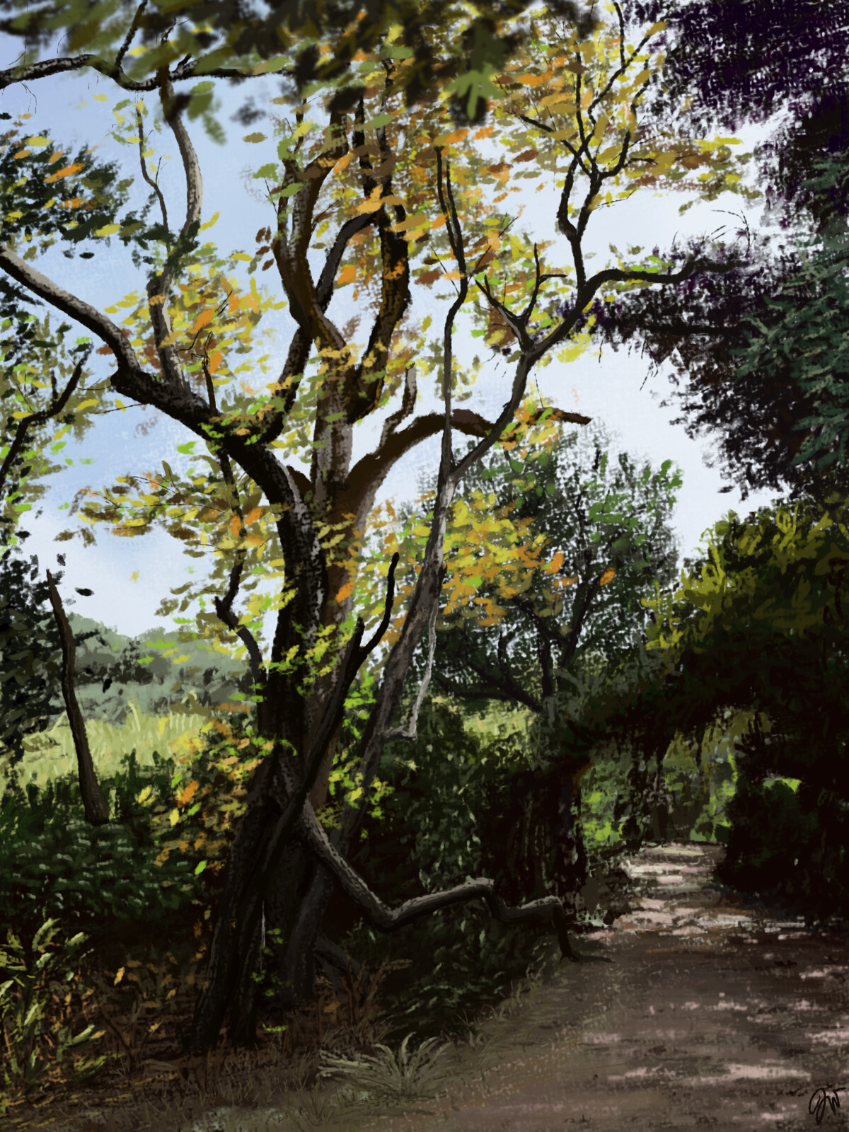 Joshua Ward - Light & Color Studies