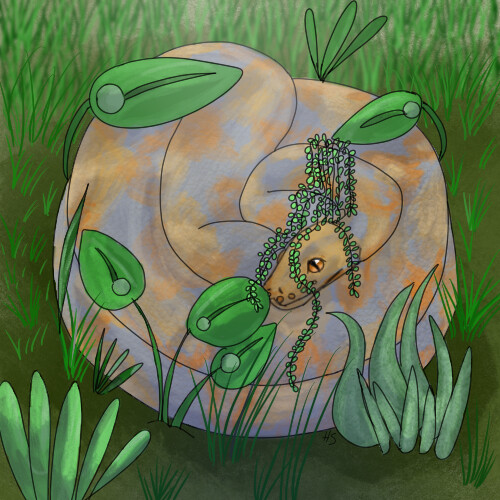 ArtStation - Reticulated python with Plants