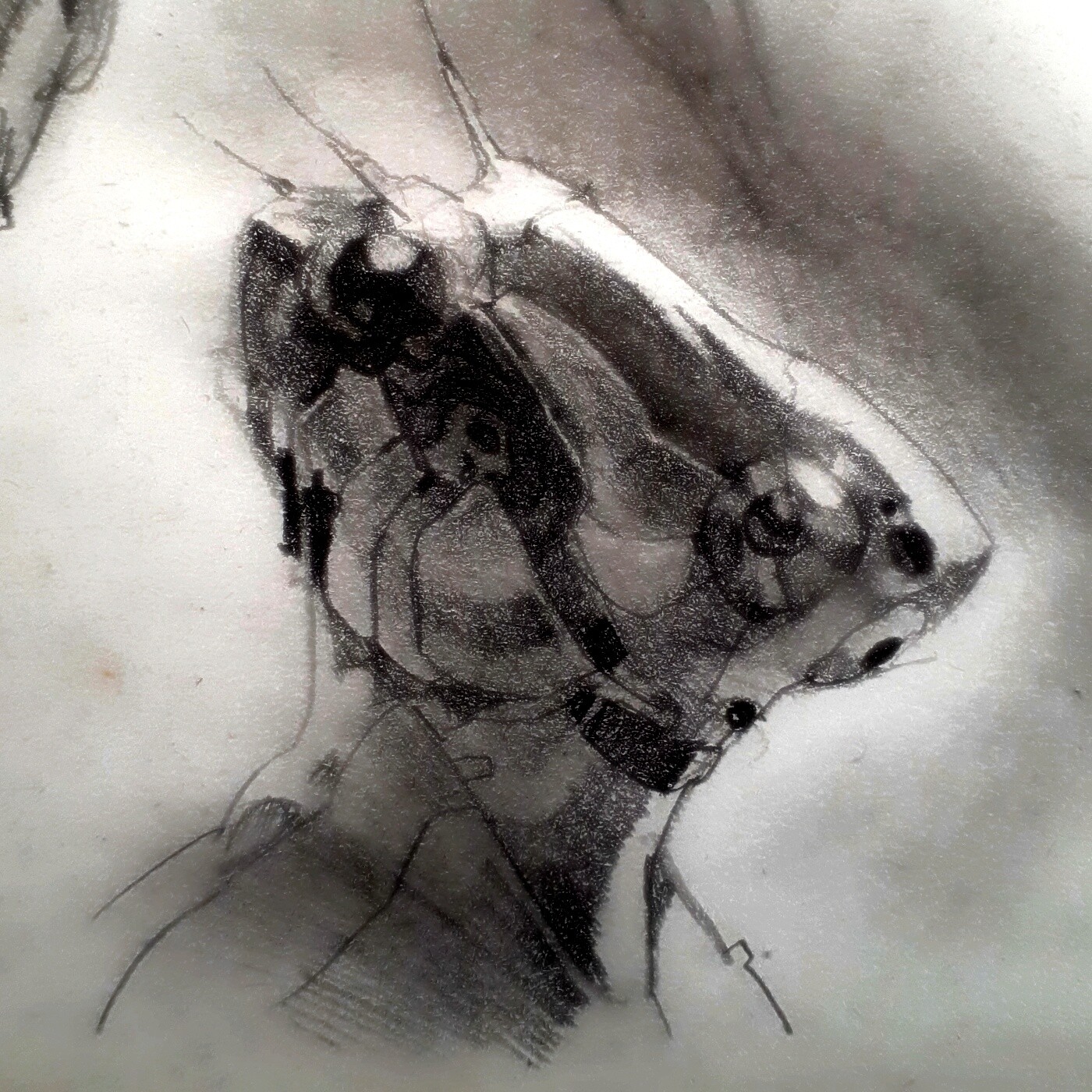 ArtStation - Sketching.33 tiny sketch