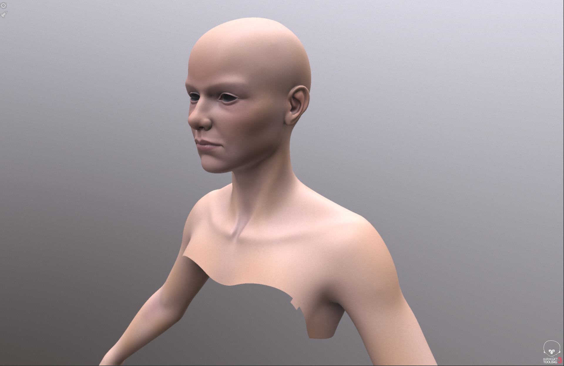 ArtStation - Skin texturing