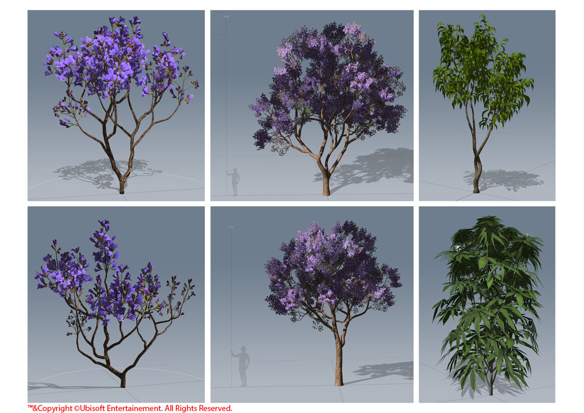 ArtStation - vegetation modeling (speedtree)