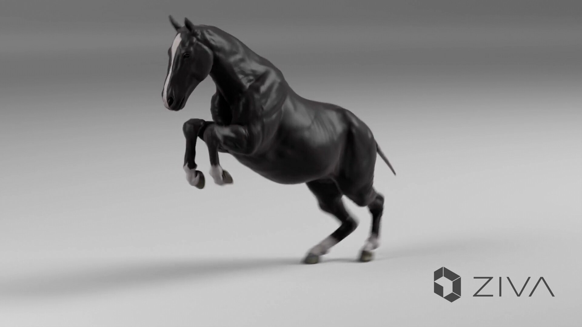 Nicolas MOREL - Gala the Horse | Ziva VFX