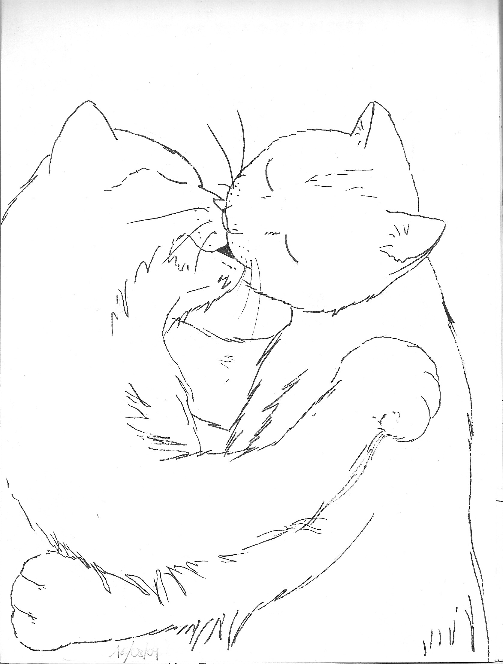 how to draw cat kiss
