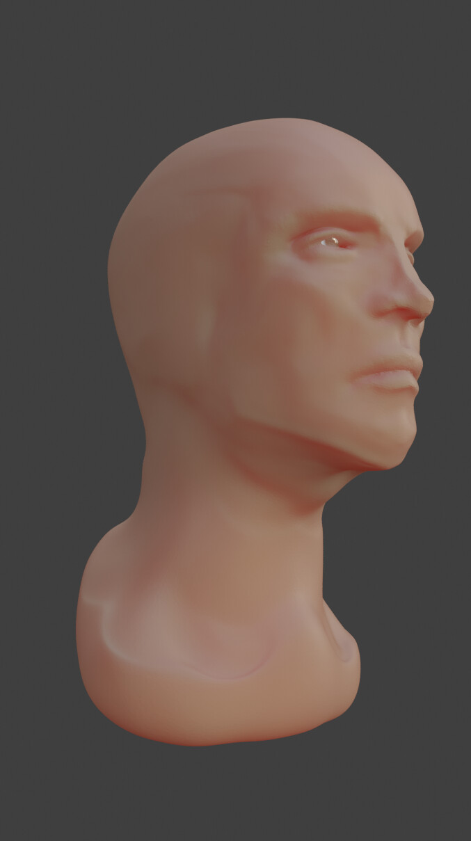 ArtStation - Blender Head Study