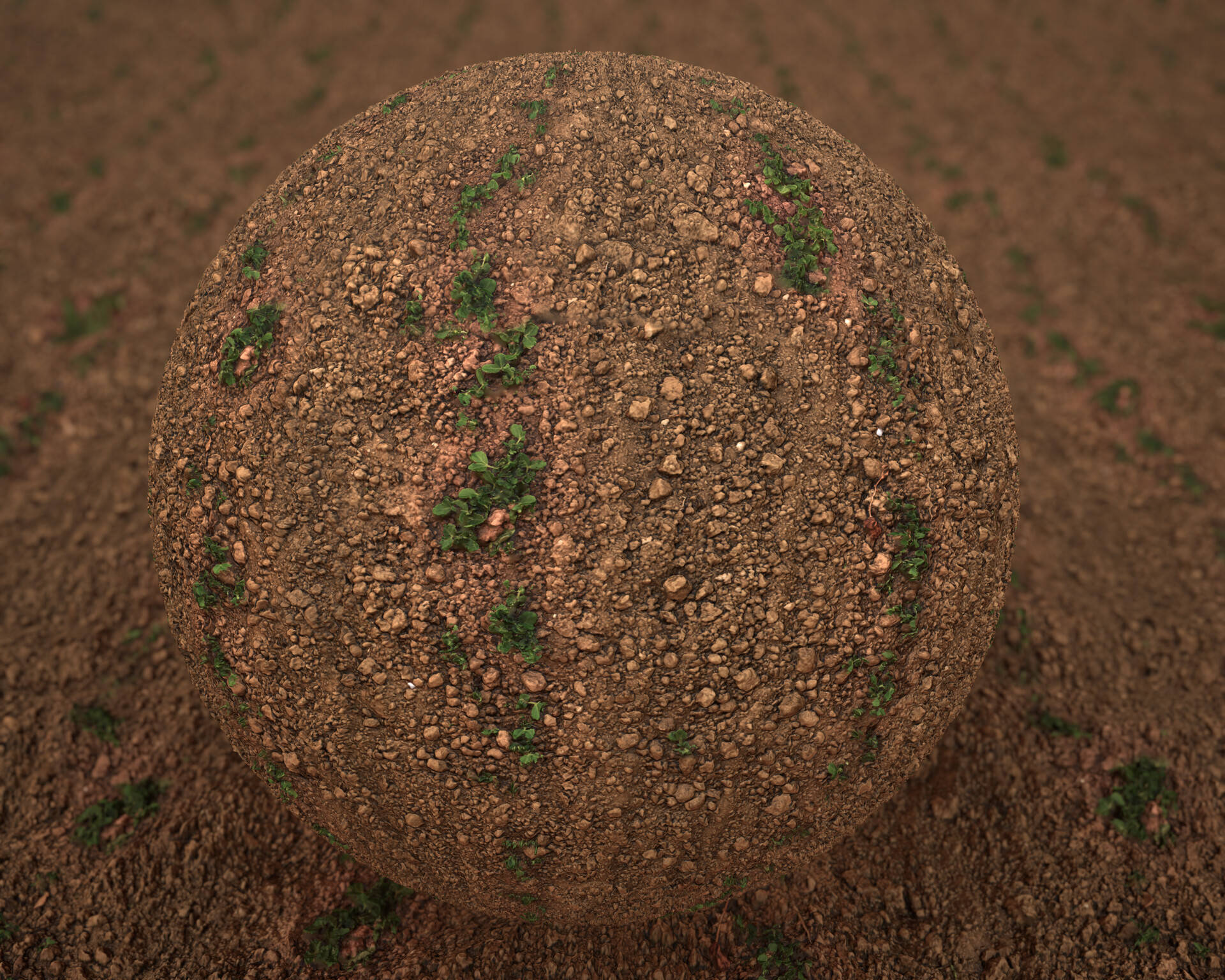 David Danji - Plant & Soil - Photogrammetry PBR Material