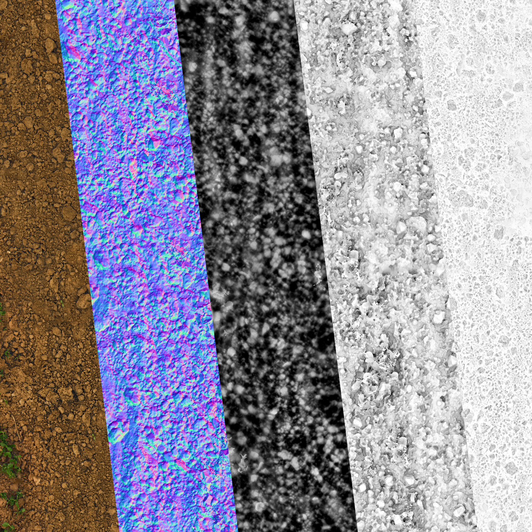 David Danji - Plant & Soil - Photogrammetry PBR Material