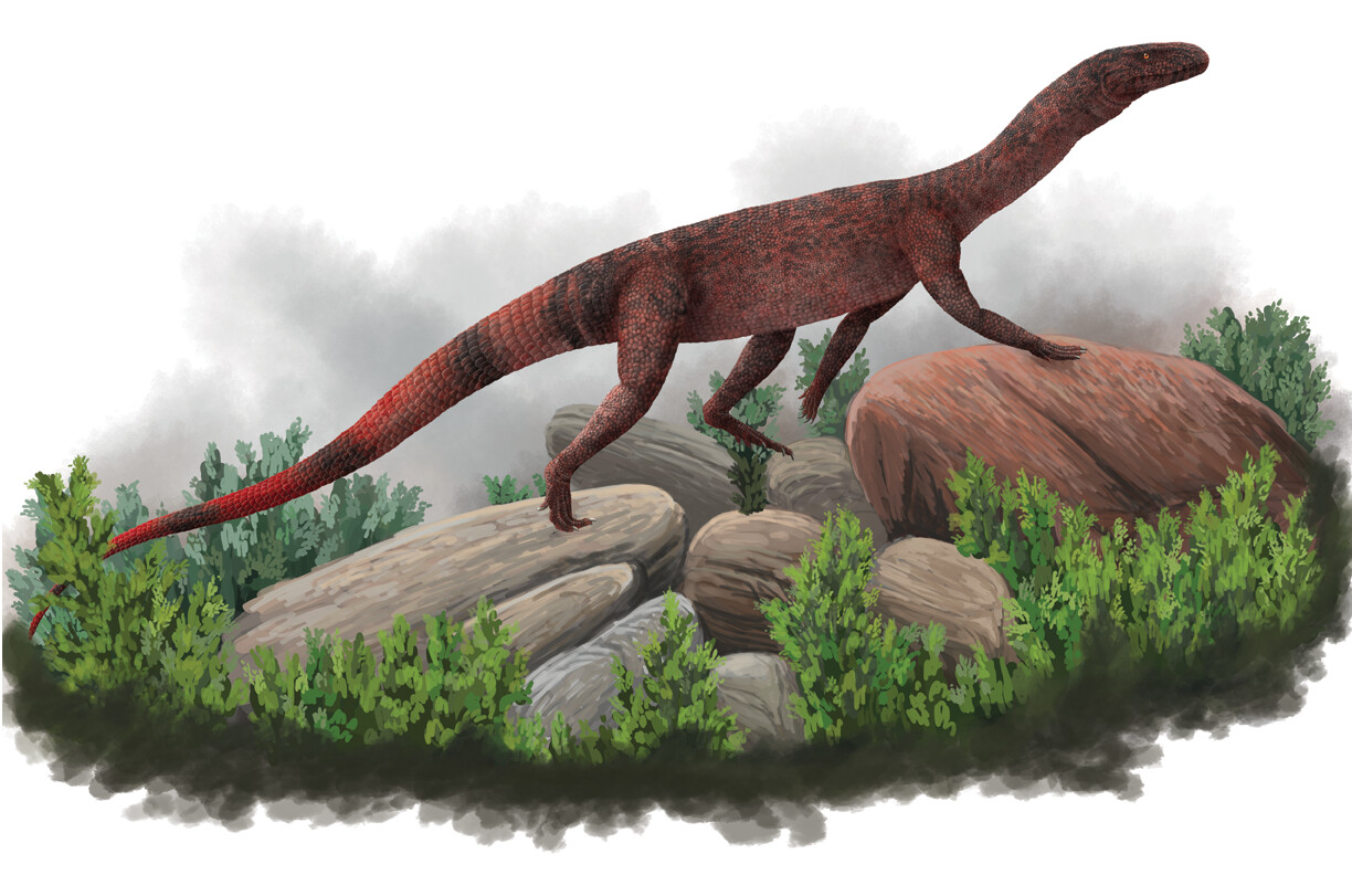 ArtStation - Evolving Planet: Teleocrater