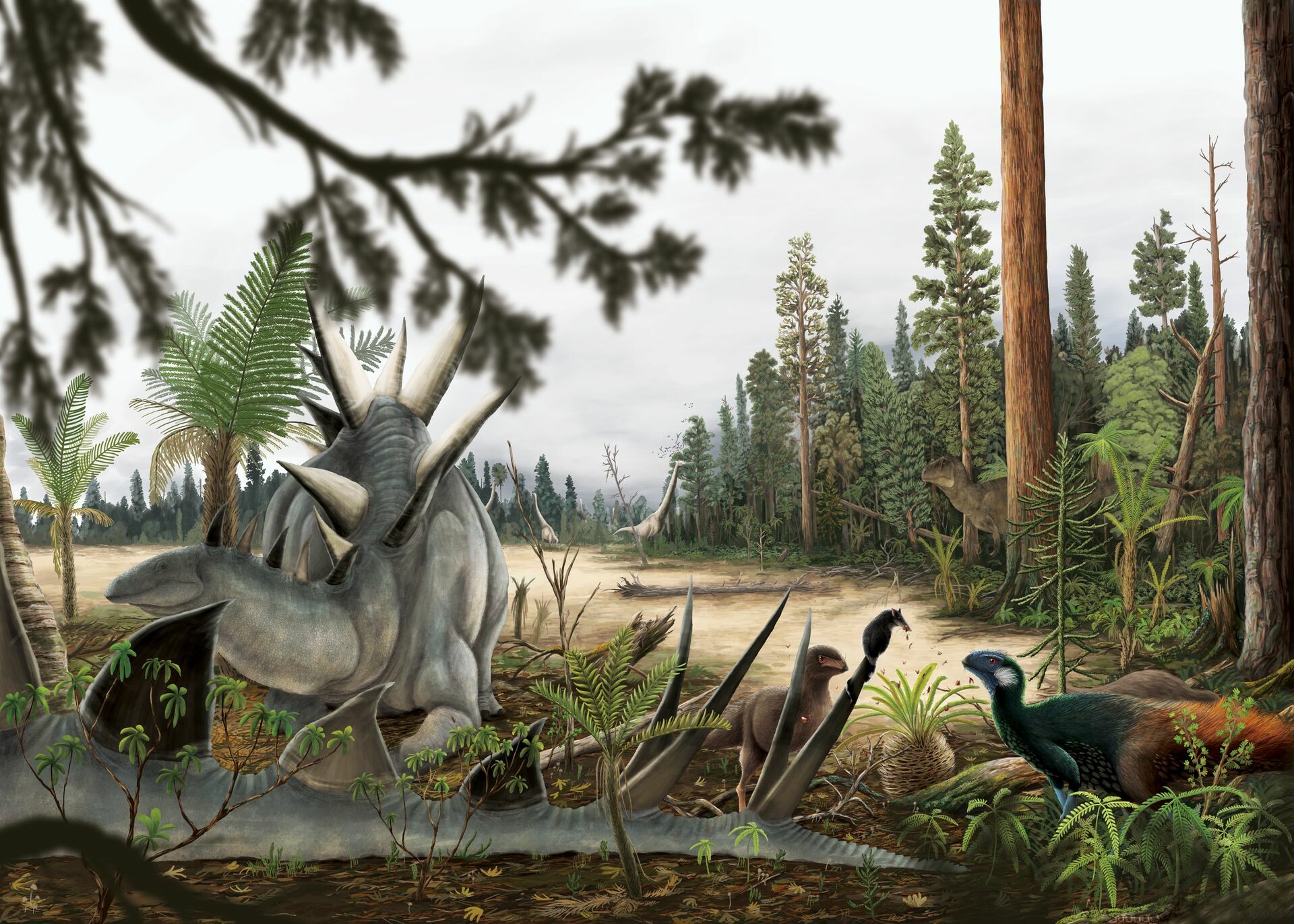 ArtStation - Edge of Morrison Forest