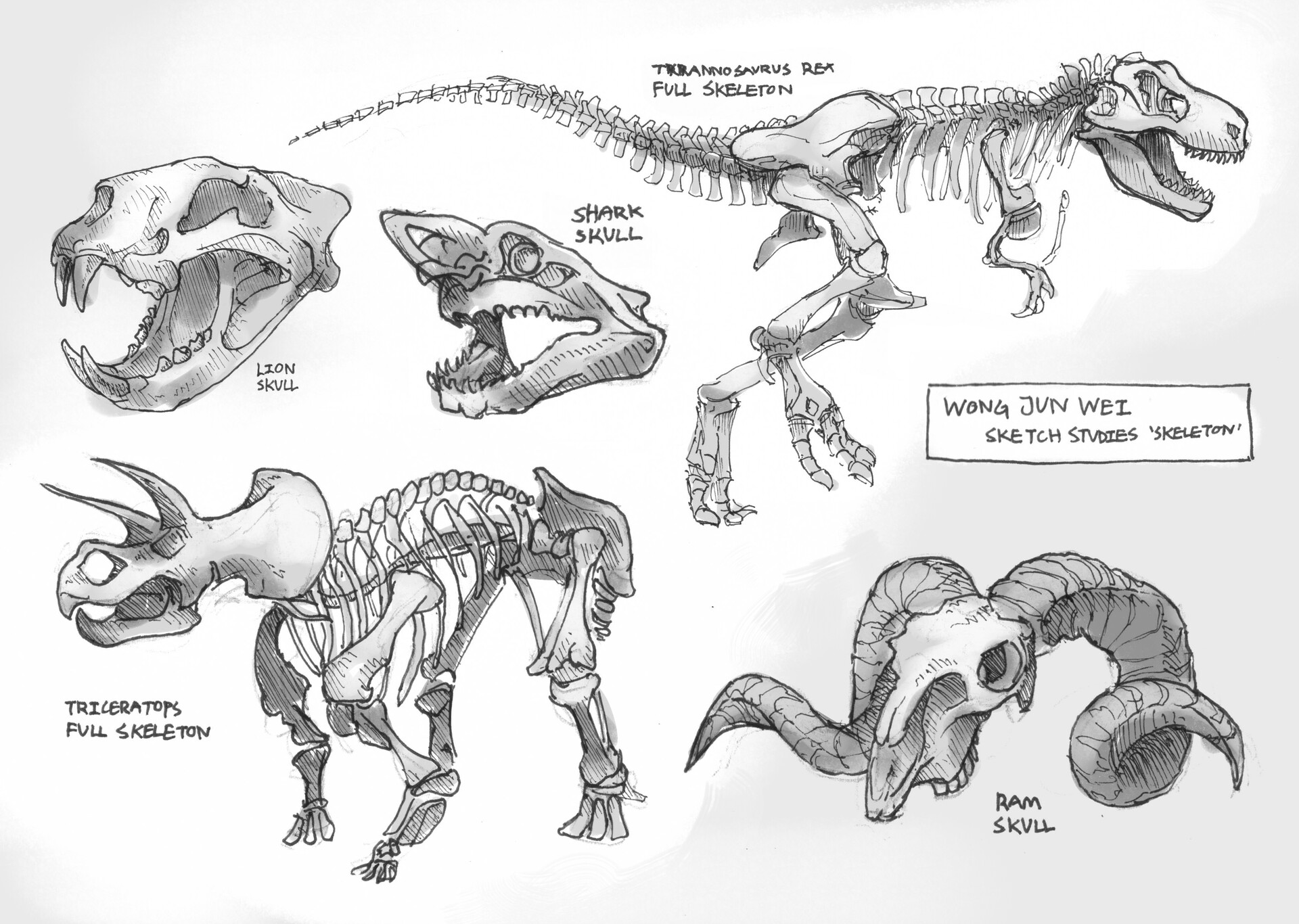 Wong Jun Wei - SketchStudies - Natural