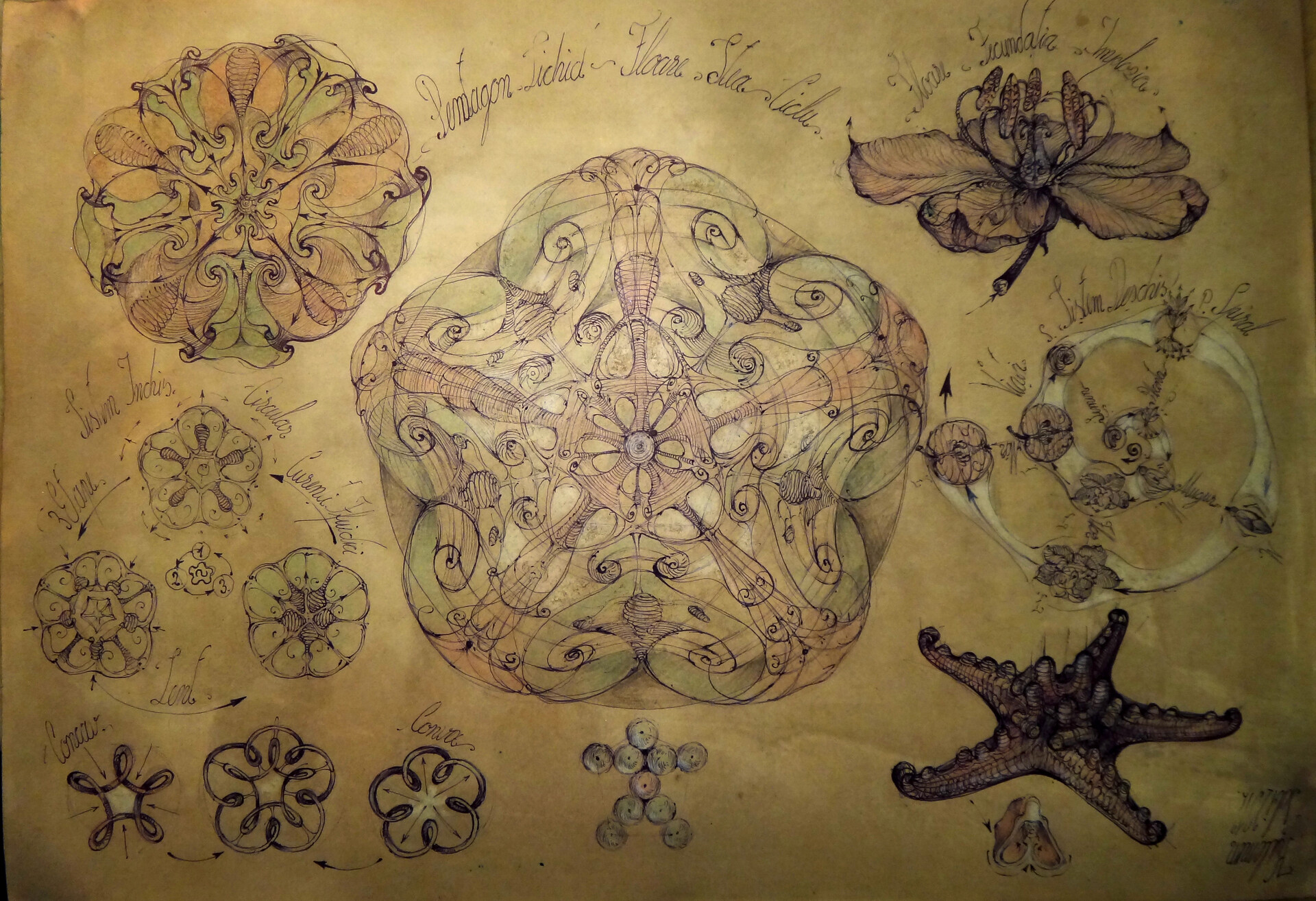 ArtStation - Pentagon standing wave conection