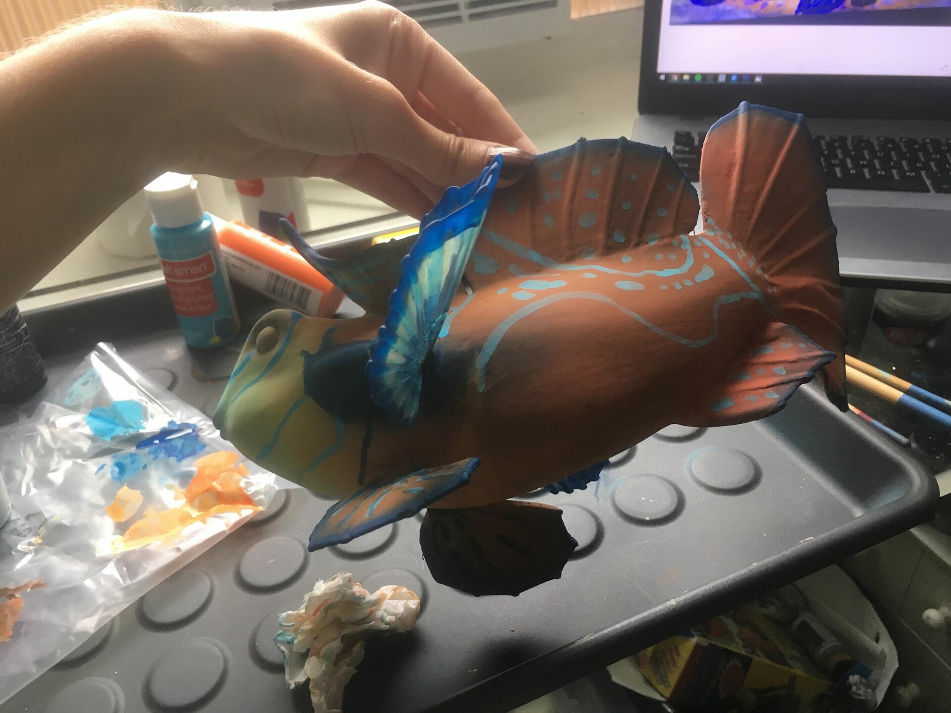 Alison Friedlander - Mandarin Goby