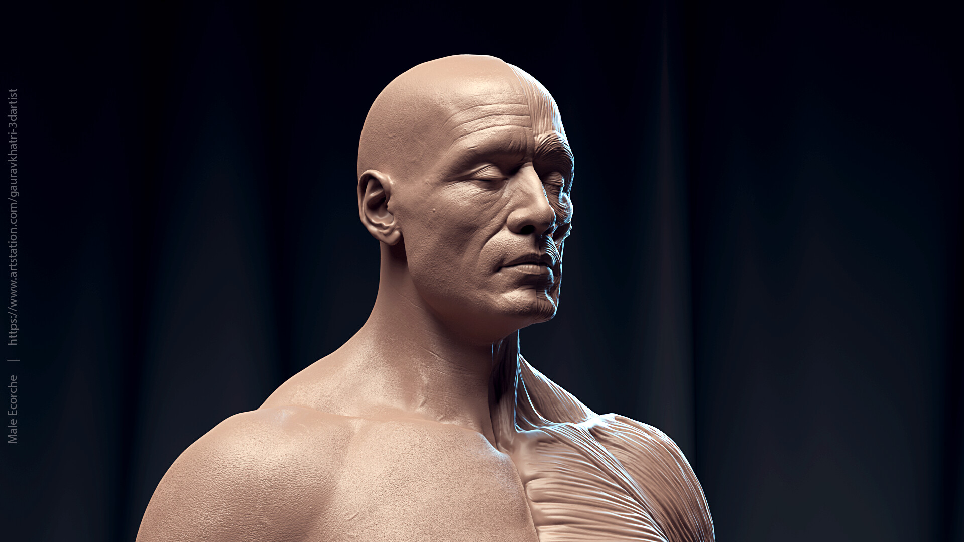 ArtStation - 3D Male Ecorche