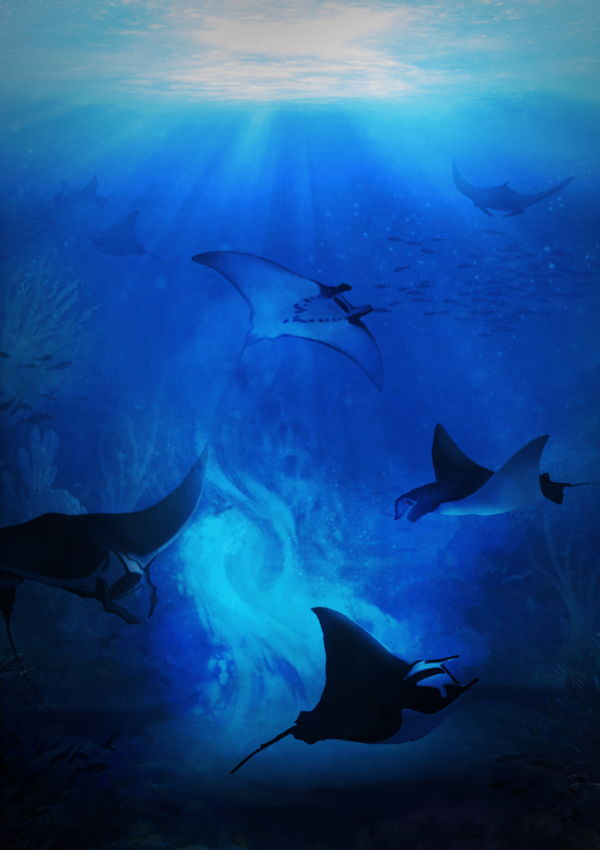 ArtStation - Manta Rays in the sea