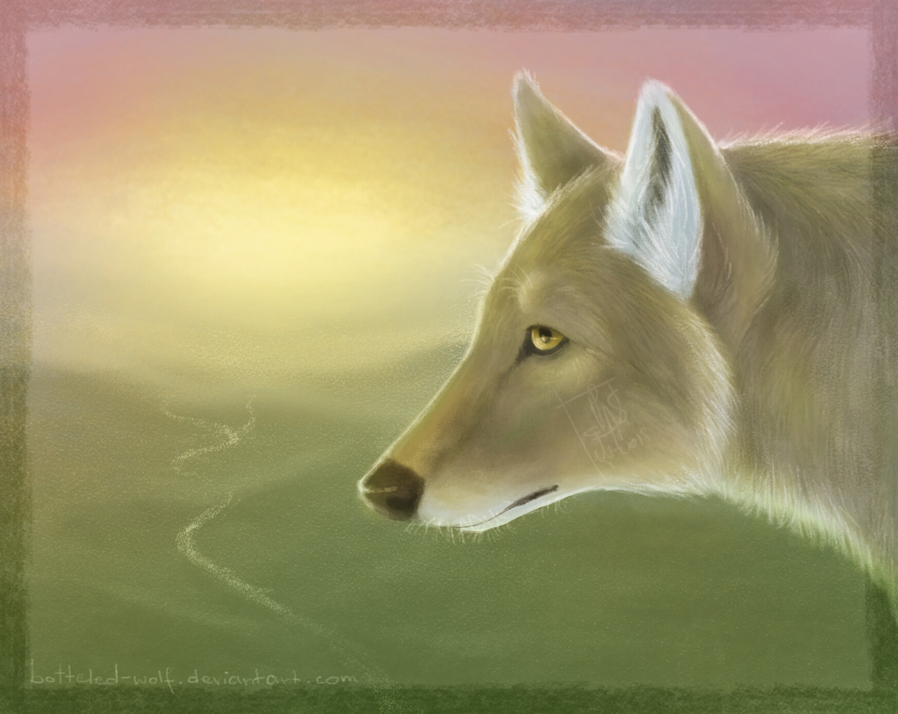 ArtStation - Coyote
