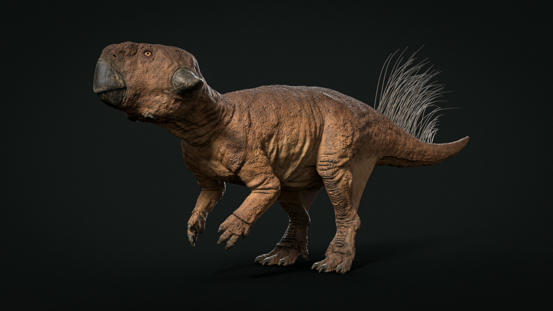 Tim McLeod - Psittacosaurus