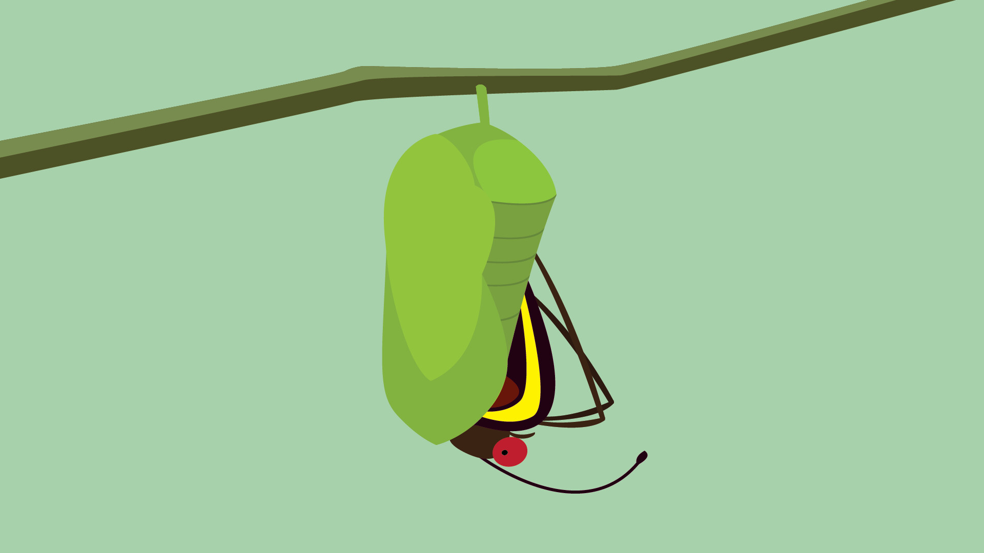 Naomi McLeod - Arthropod Animation Assets