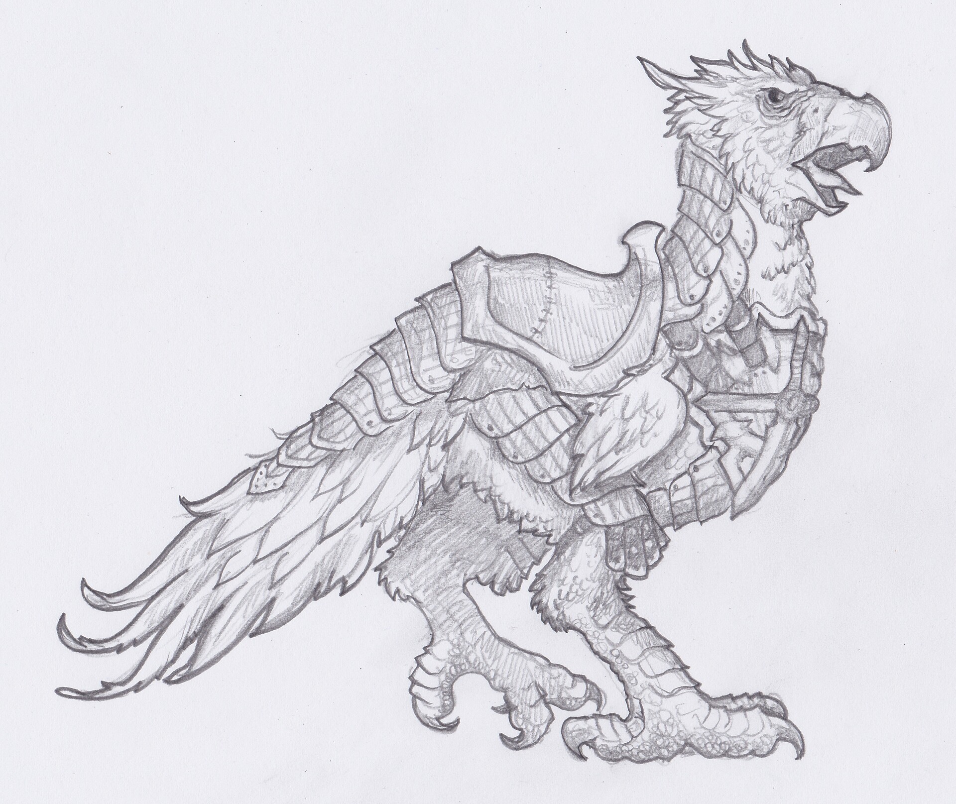 Matt Brown - Pathfinder Character Commissions