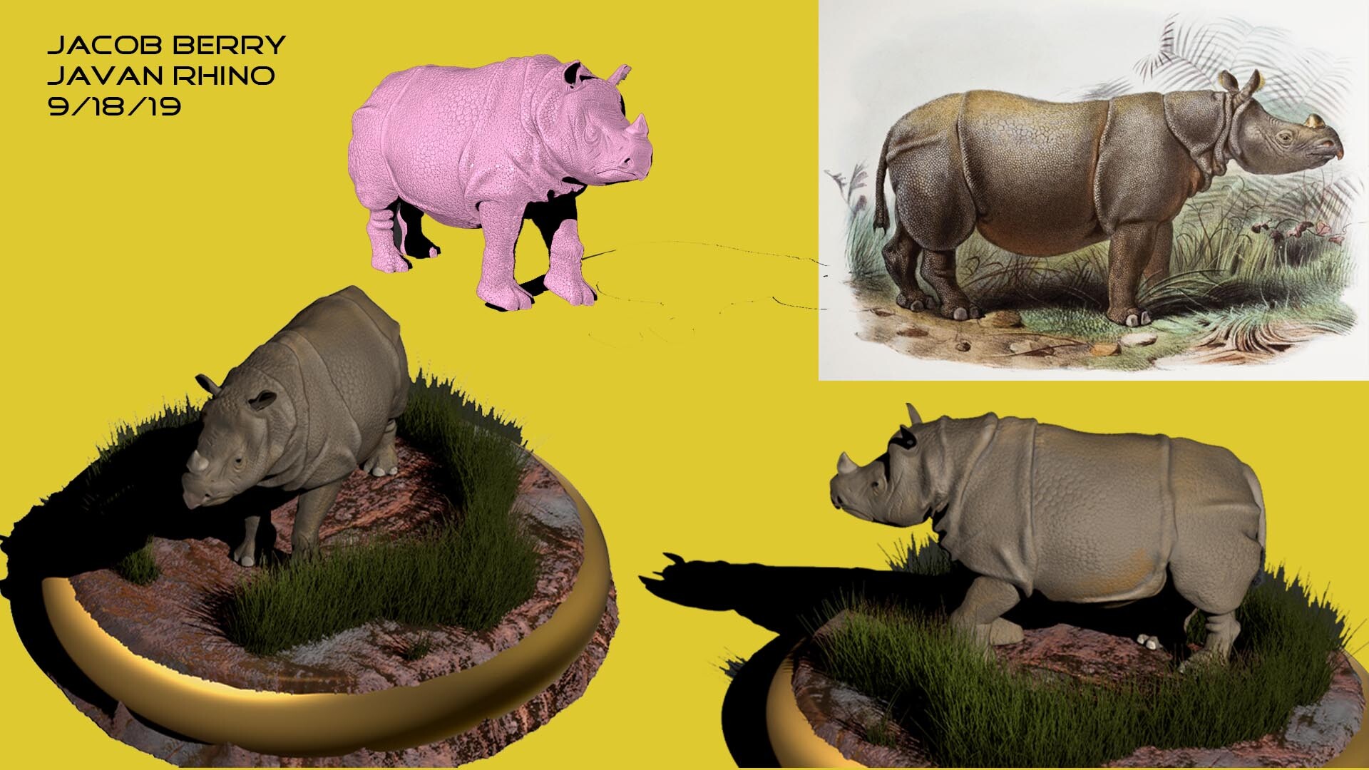 ArtStation - Javan Rhino