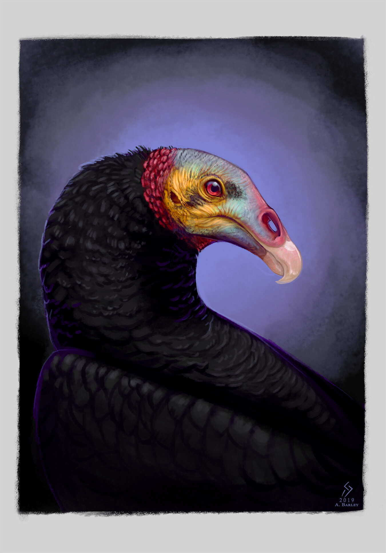 Alex Barley - A Venue of Vultures