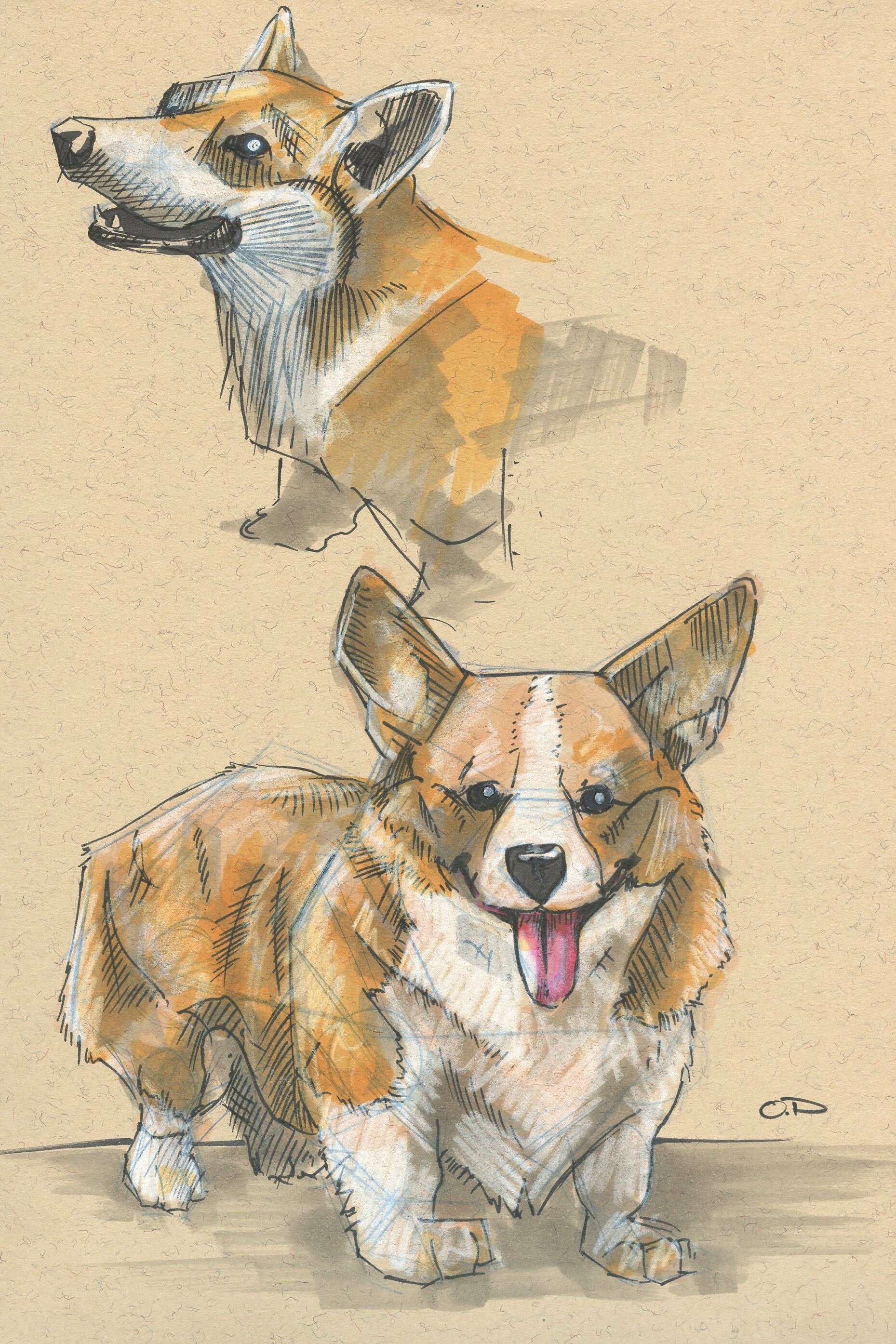 ArtStation - Orange Dog