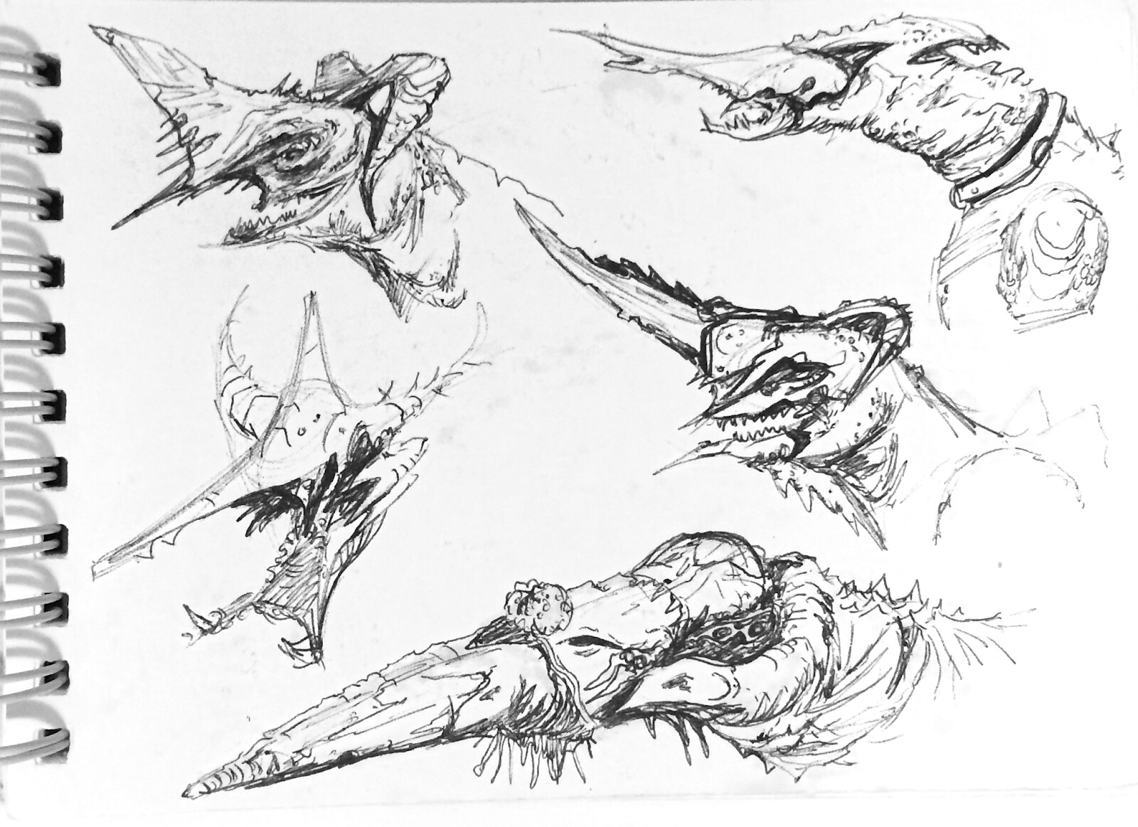 ArtStation - Creature sketches