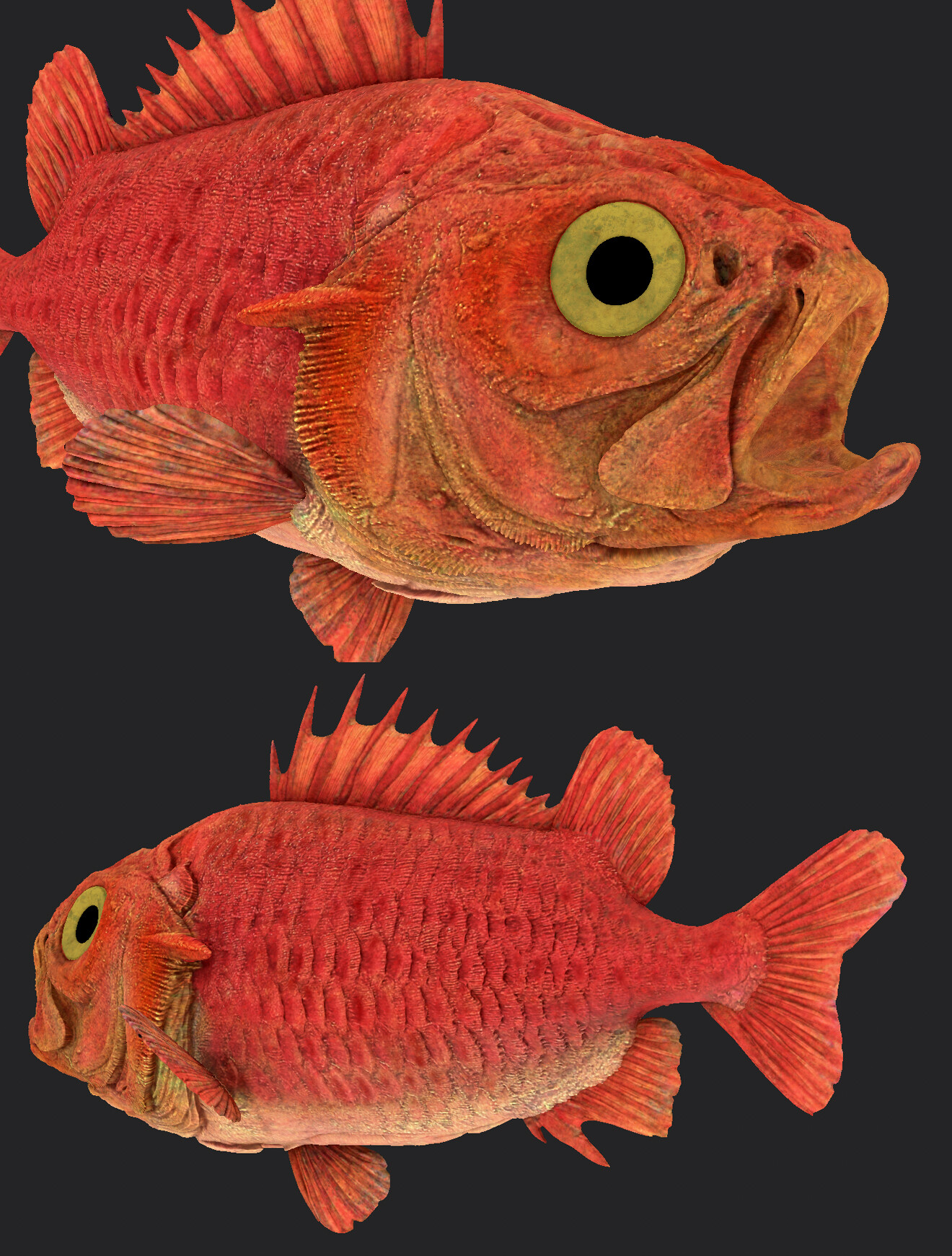 Jordan Yen - Ray Finned Fish