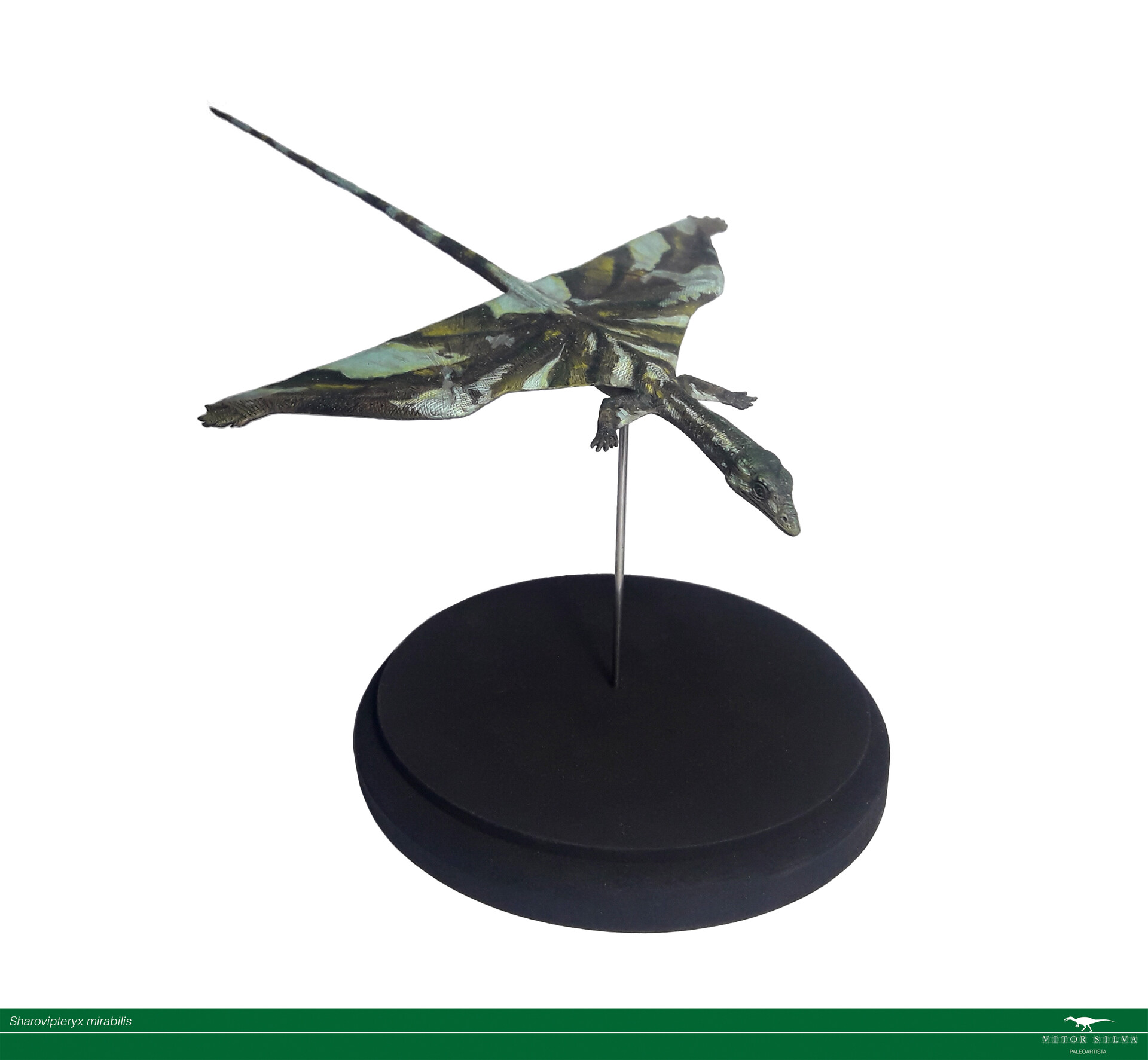 Vitor Silva - Sharovipteryx