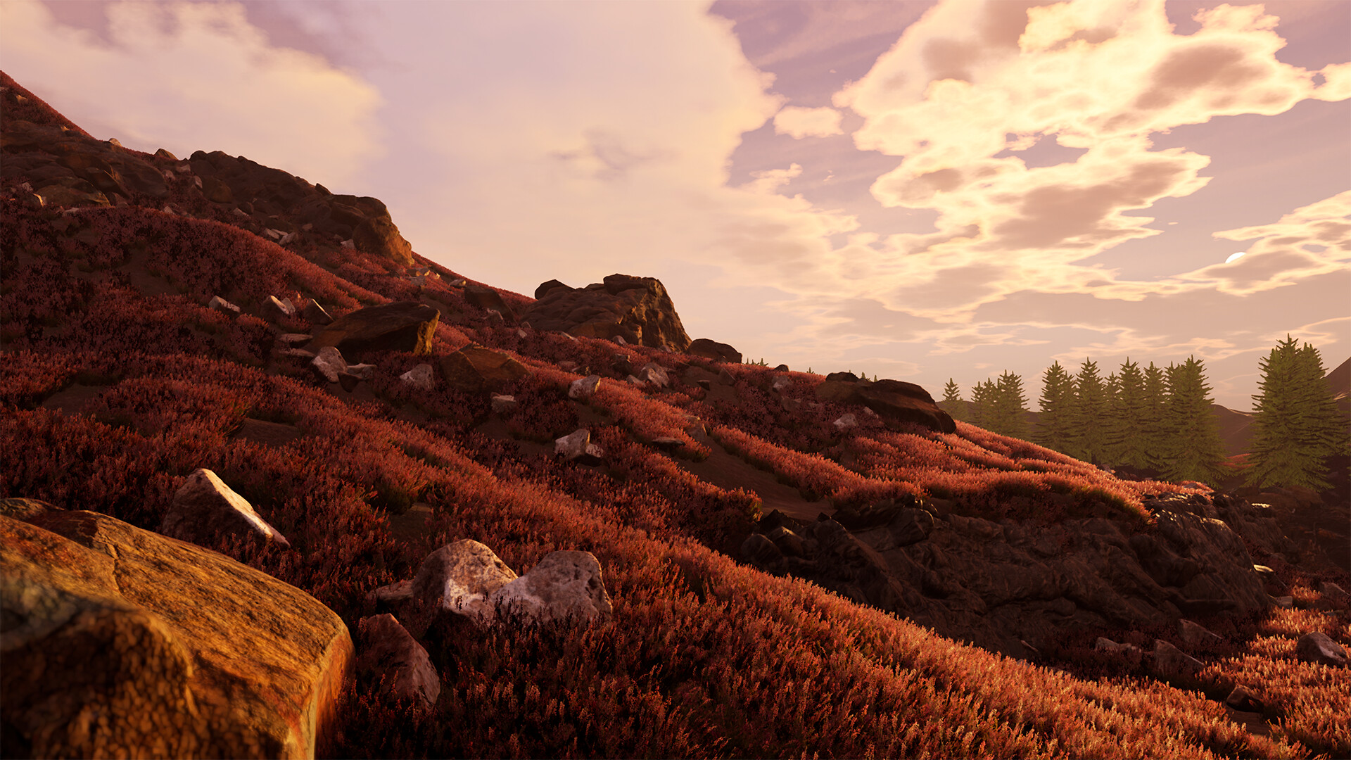 Nicholas D'Alfonso - Flowering Hills