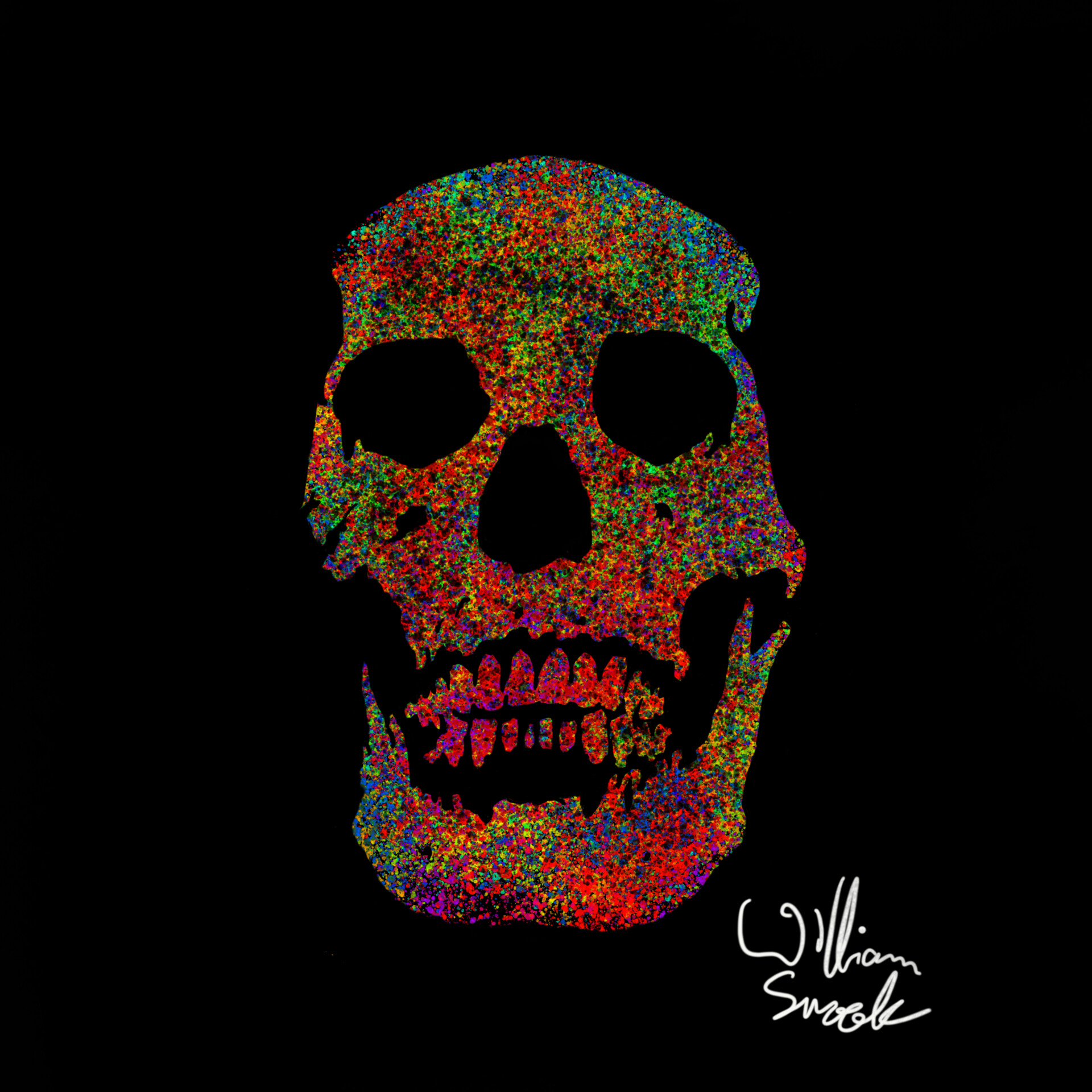 William Snook - Multicoloured Skull