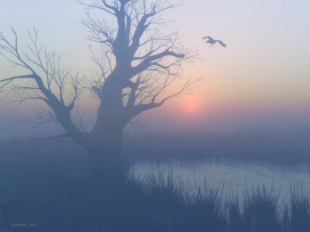 ArtStation - Peaceful