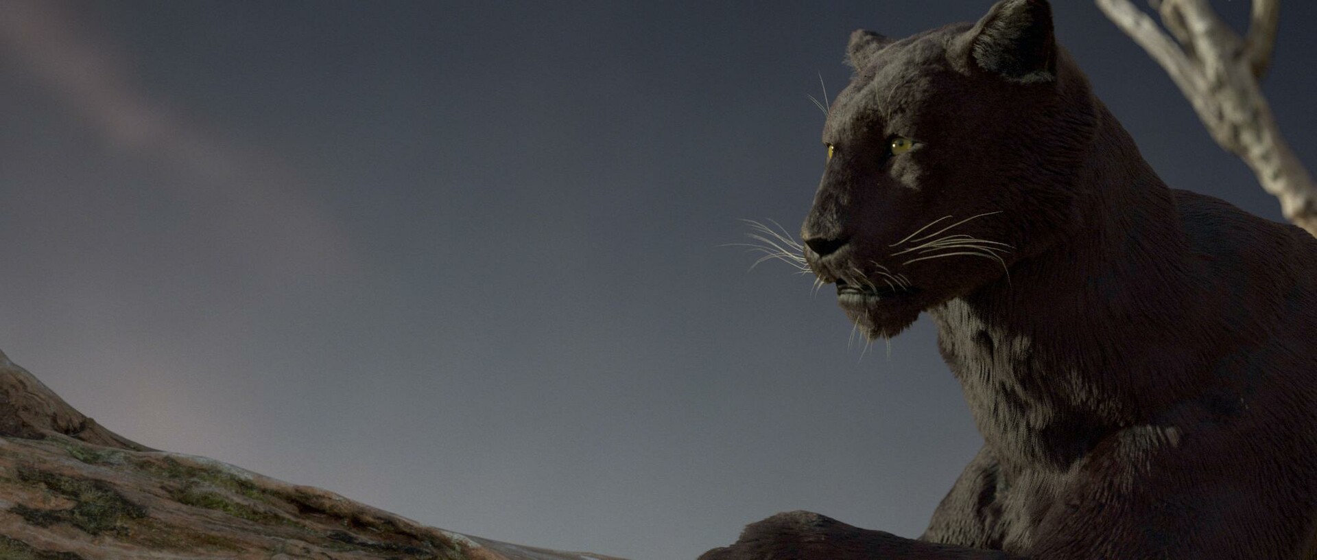 ArtStation - Black Leopard