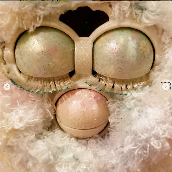 Nohm "India" Zak - Furby Journey