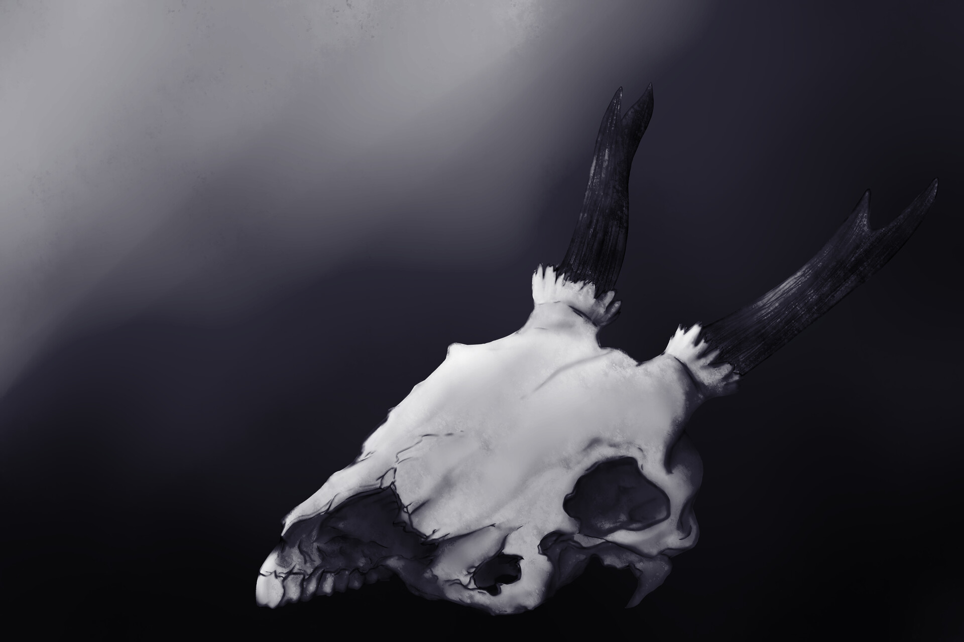 ArtStation - deer skull- irl reference practise