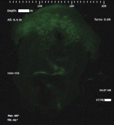 ArtStation - SCP SLUG