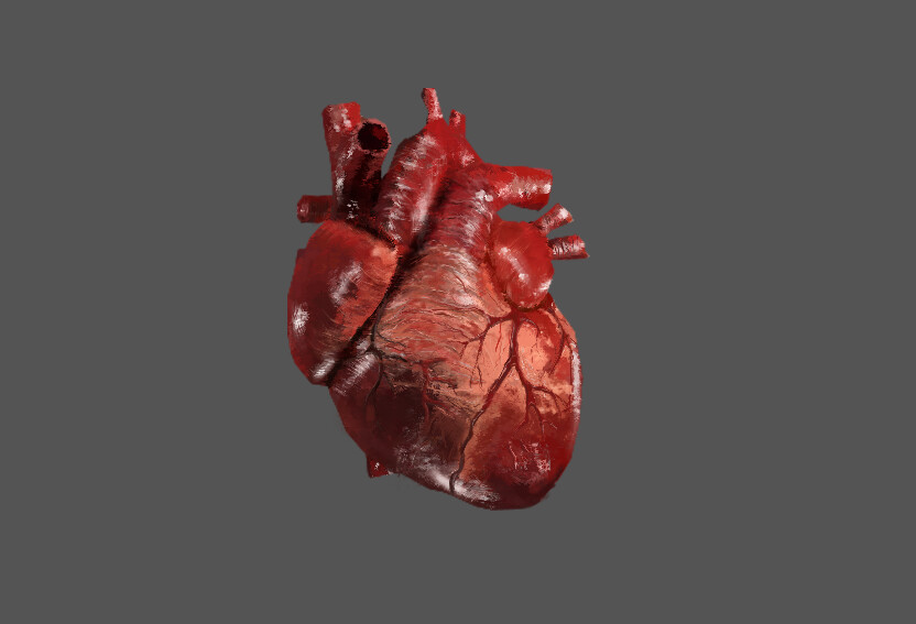 ArtStation - Human Heart - Study DP_01