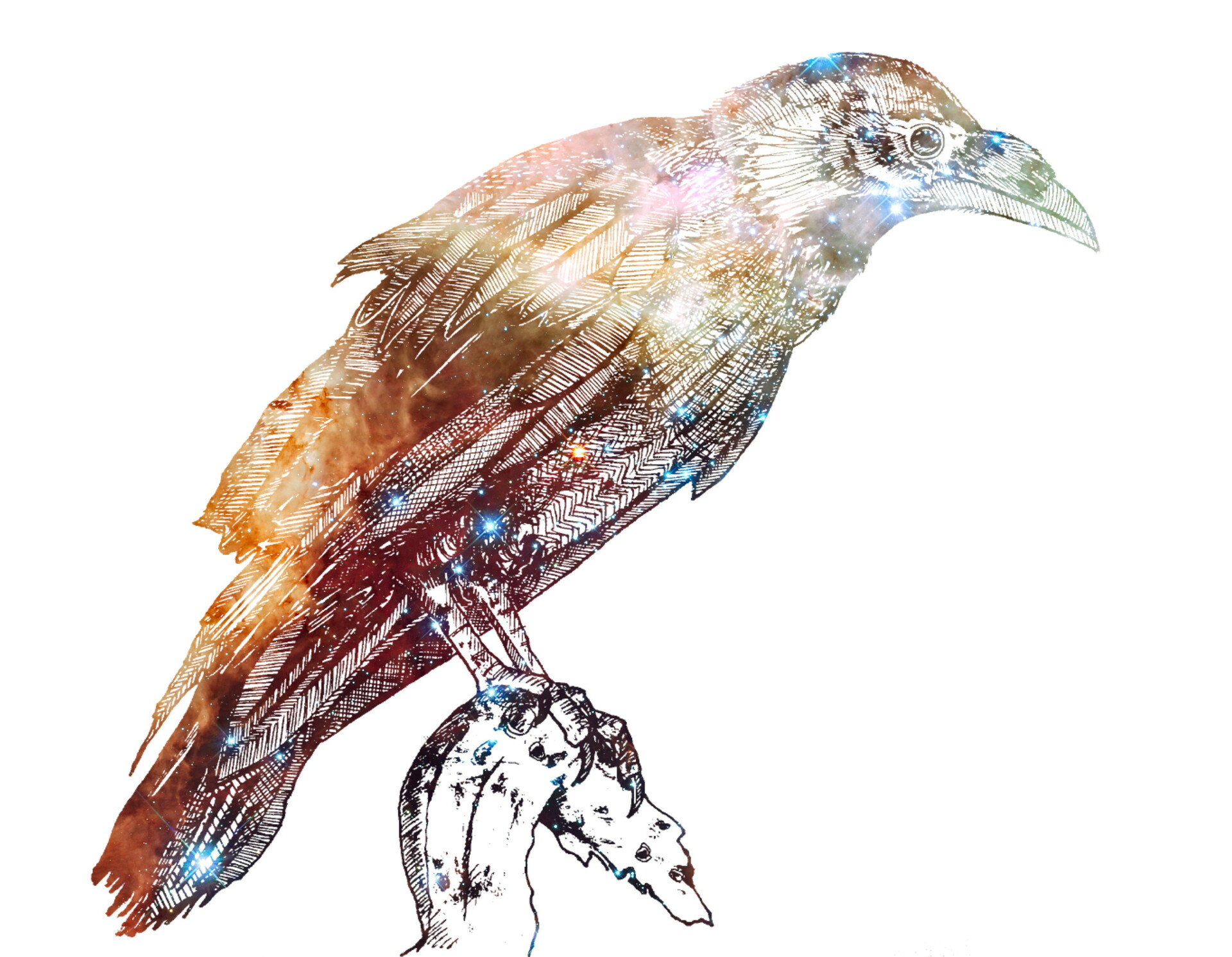ArtStation - Infinity Raven