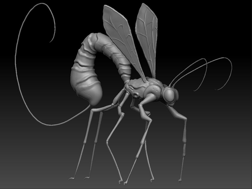 Danyol Murphy - Ichneumon Wasp Orthographic Sketch